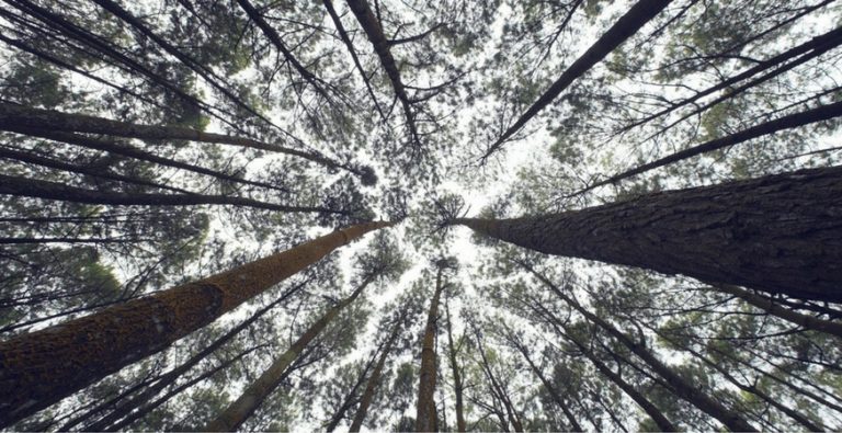 7 Elements of Design and How to Use Them Properly - The Paper Mill Blog